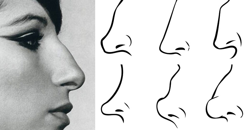 Here's What the Shape of Your Nose Has to Say About Your Personality ...